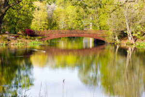 Discover Longview, WA: A Gateway to the Pacific Northwest - PNW POV BLOG